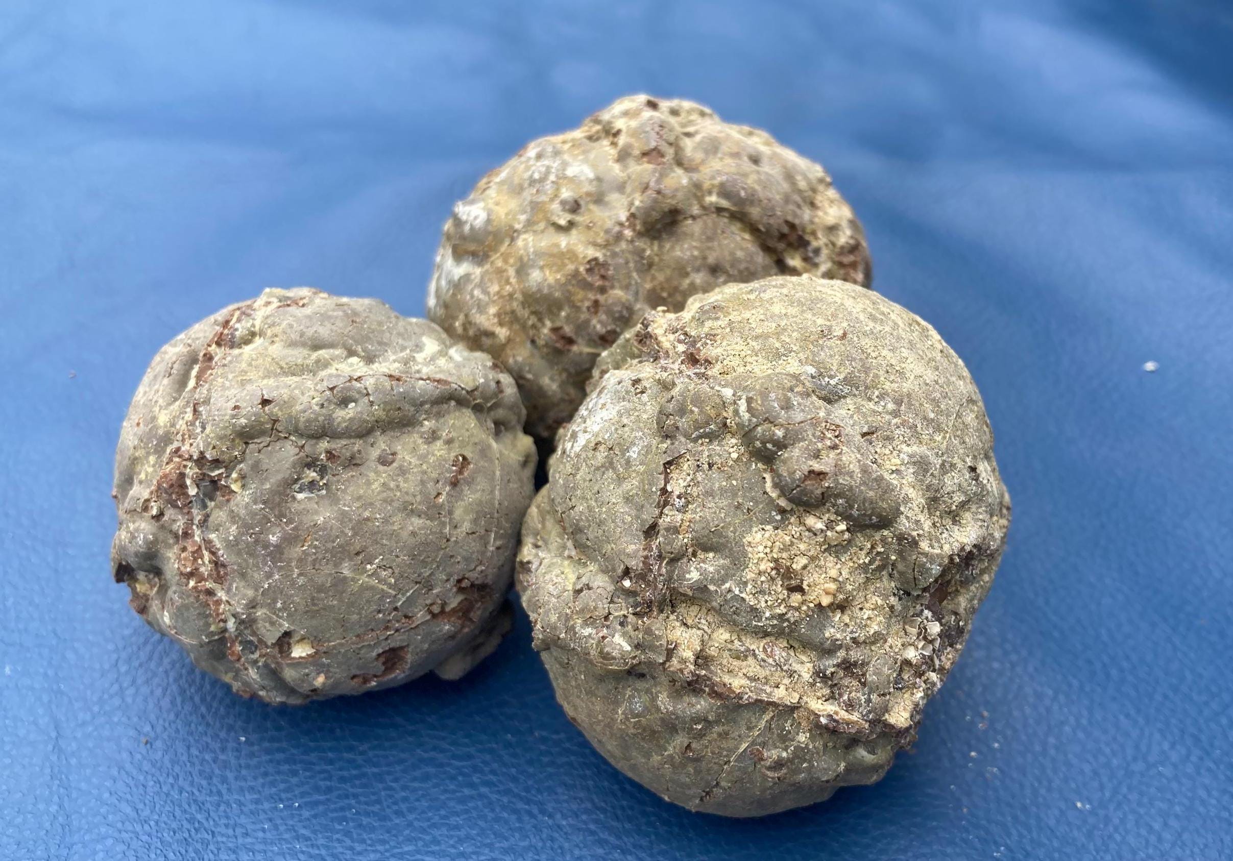 3 Pack Thundereggs From Madras, Oregon, Thunder Egg - Etsy