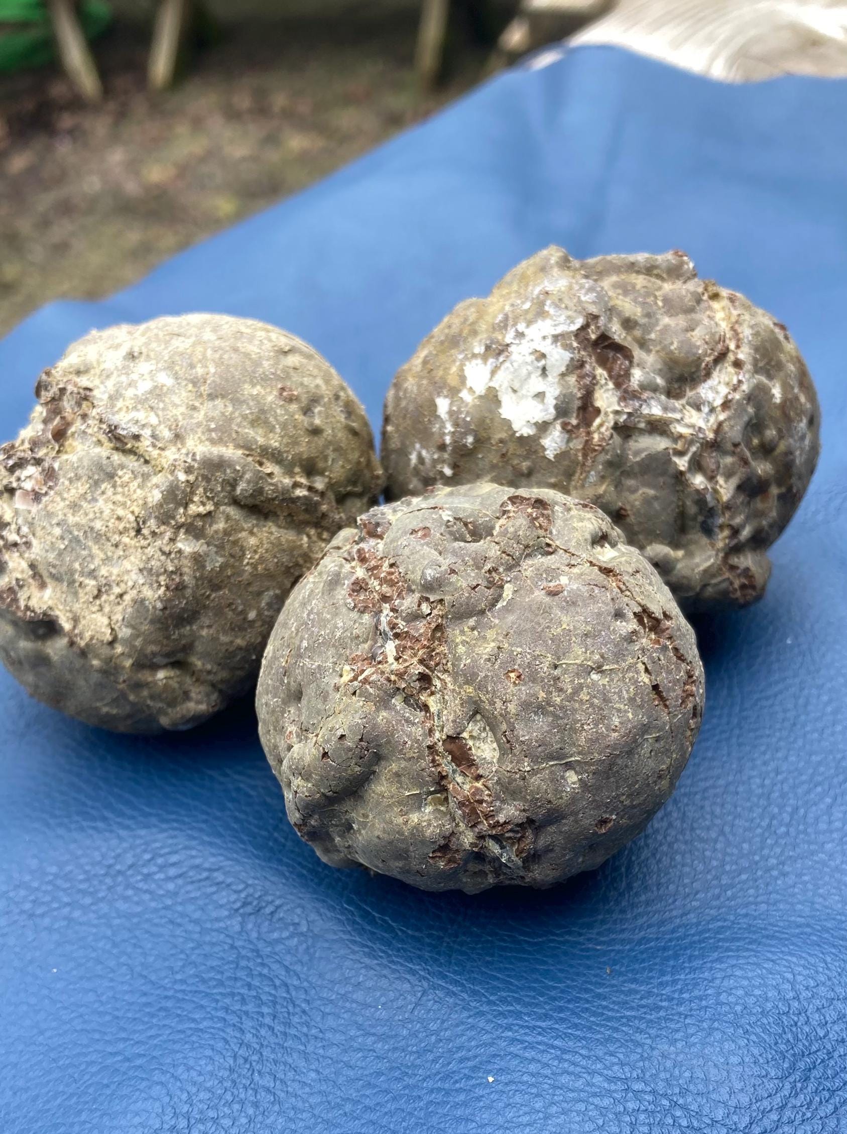 3 Pack Thundereggs From Madras, Oregon, Thunder Egg - Etsy