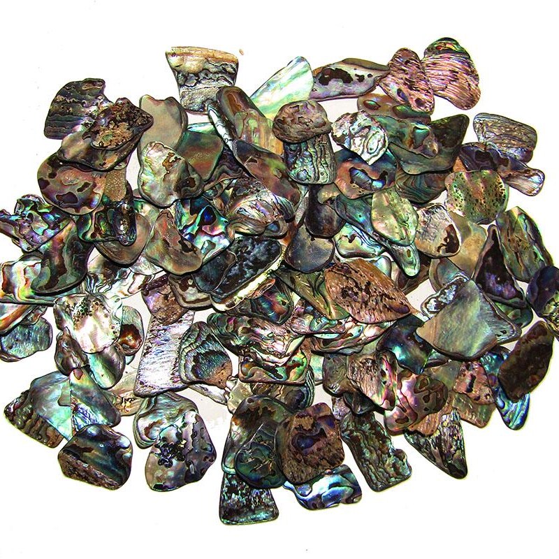 Bulk Abalone Pieces - Etsy