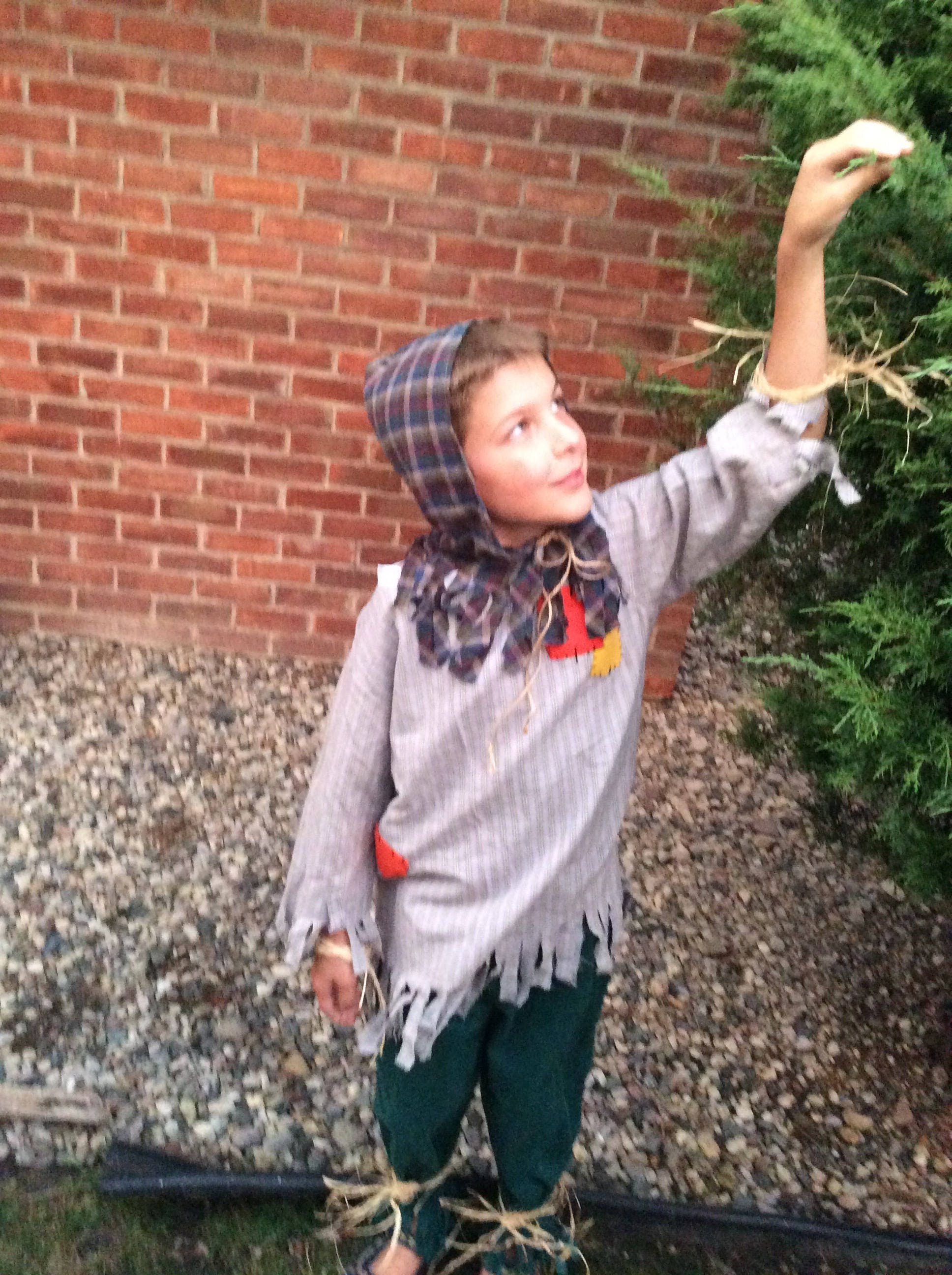 Scarecrow Costume for Boys - Etsy