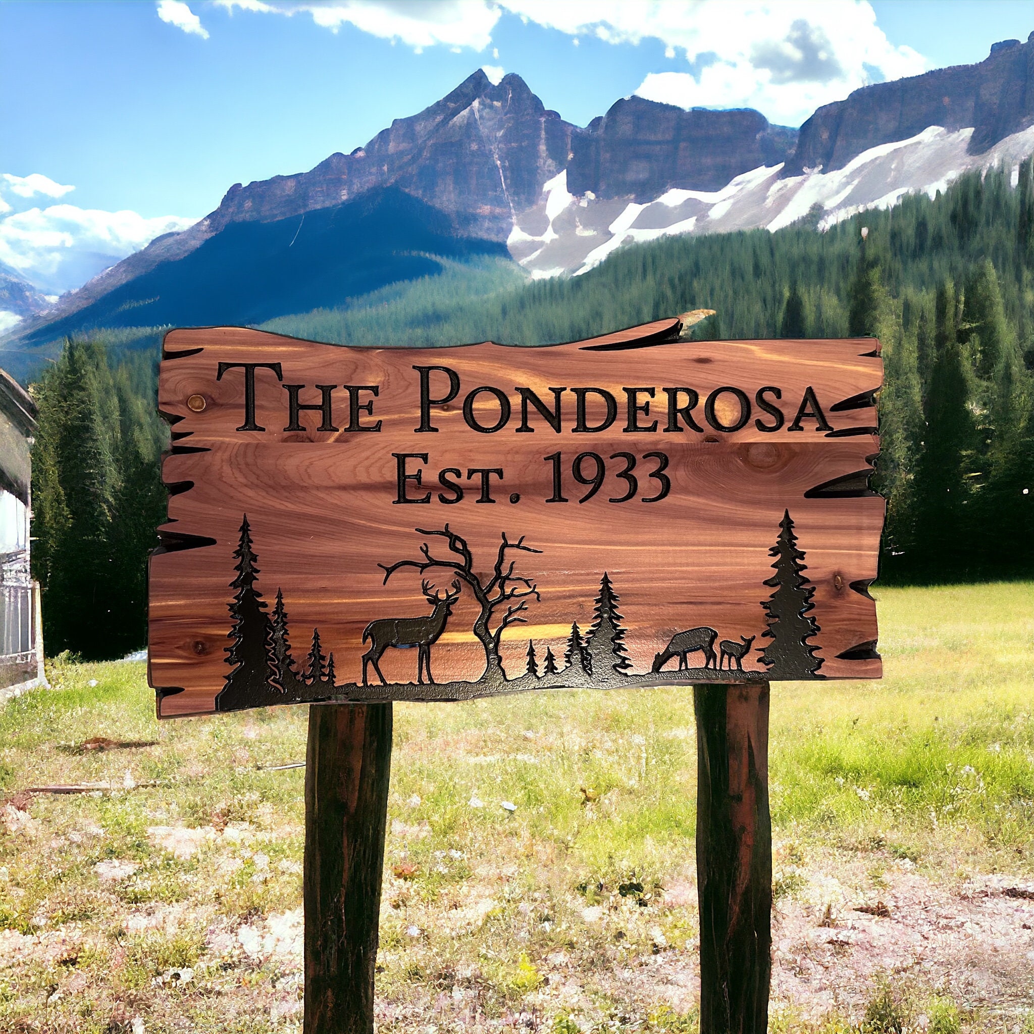 Custom Outdoor Wooden Sign, Personalized Cabin Decor, Carved Wood Sign ...