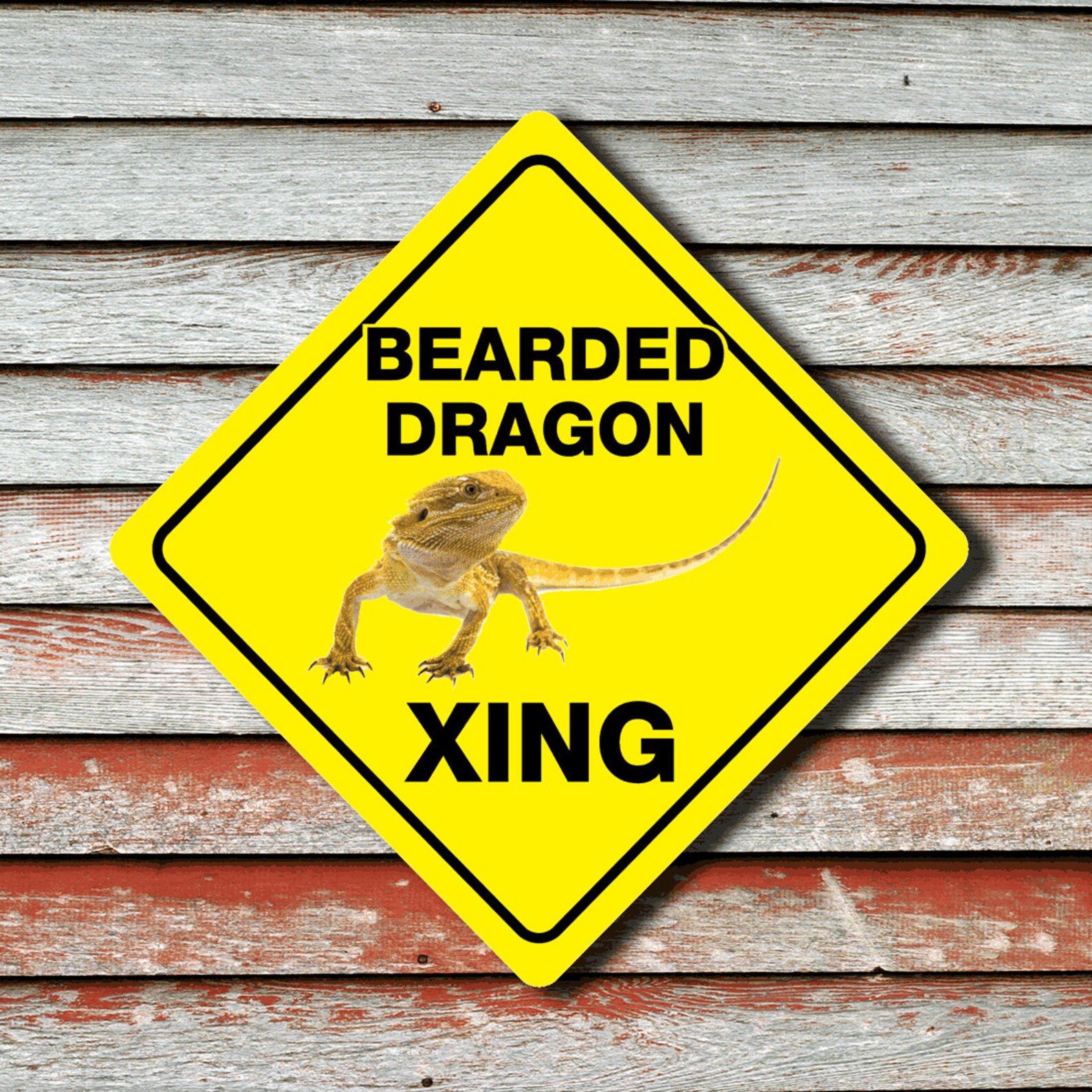 BEARDED DRAGON CROSSING Funny Sign Novelty - Etsy