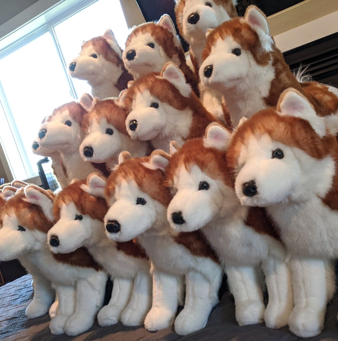 Husky Dog Plush Stuffed Animal by Douglas Cuddle Toys | Etsy