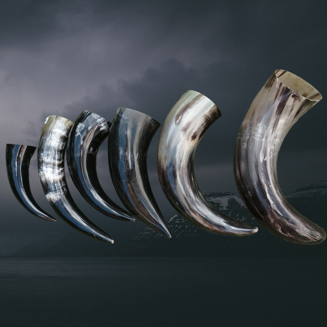 Ox Horn Polished Viking Drinking Horn - Etsy