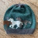 Pattern for Wild Mustang Hat - Etsy