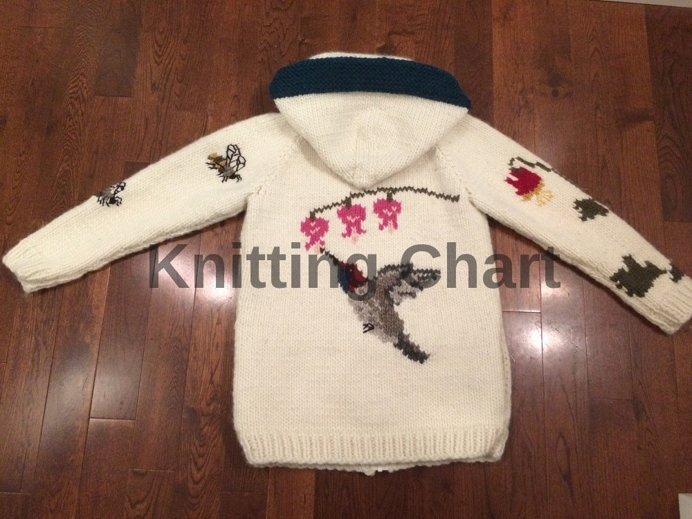 Knitting Chart for Hummingbird Sweater - Etsy Canada