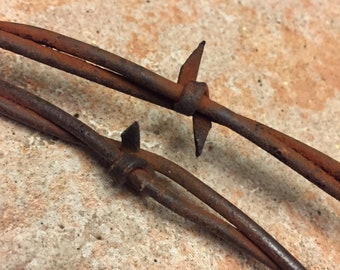 Texas barbed wire | Etsy