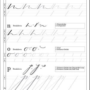 Master Class Pointed Pen Practice Sheet Bundle: 4 Scripts to Learn! - Etsy