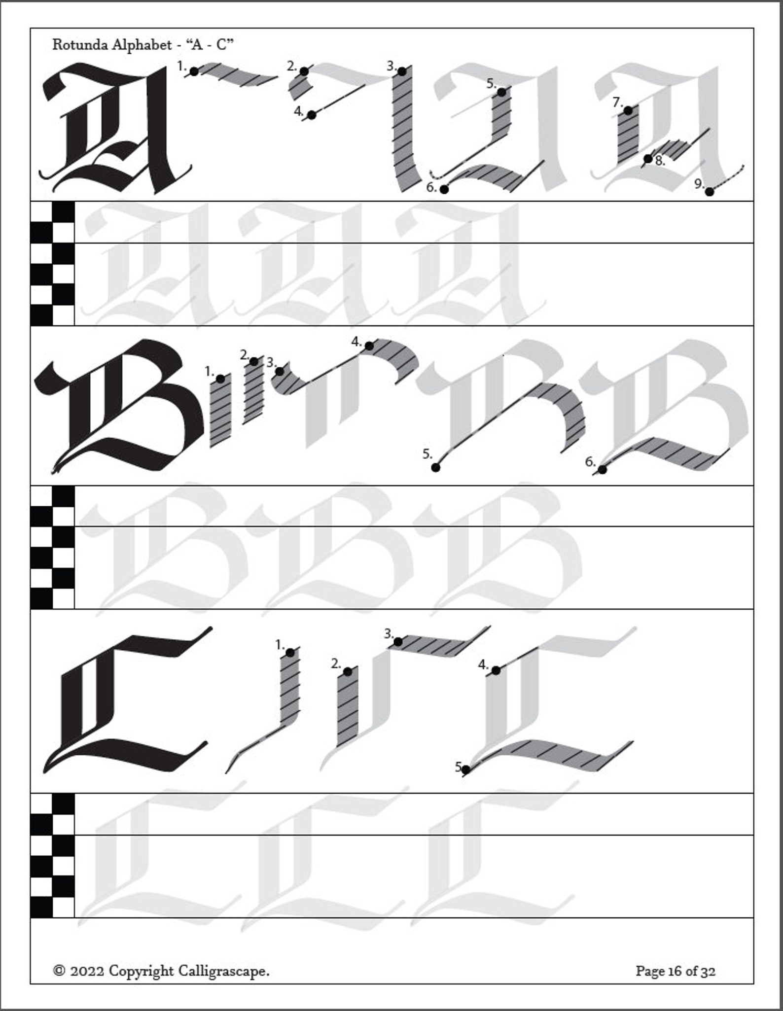 Master Rotunda Calligraphy Practice Sheets - Blackletter / Broad Edge ...