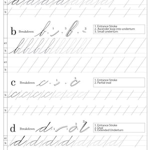 Master Class Spencerian Practice Sheets: From Basic Strokes to Complete ...