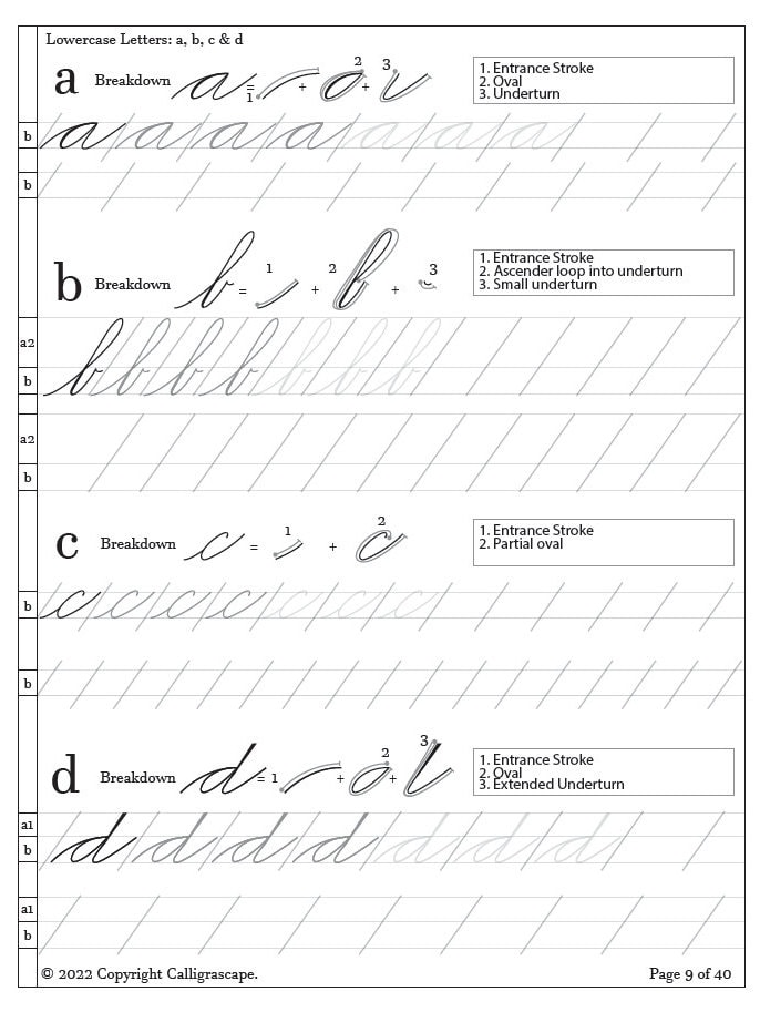 Master Class Spencerian Practice Sheets: From Basic Strokes to Complete ...