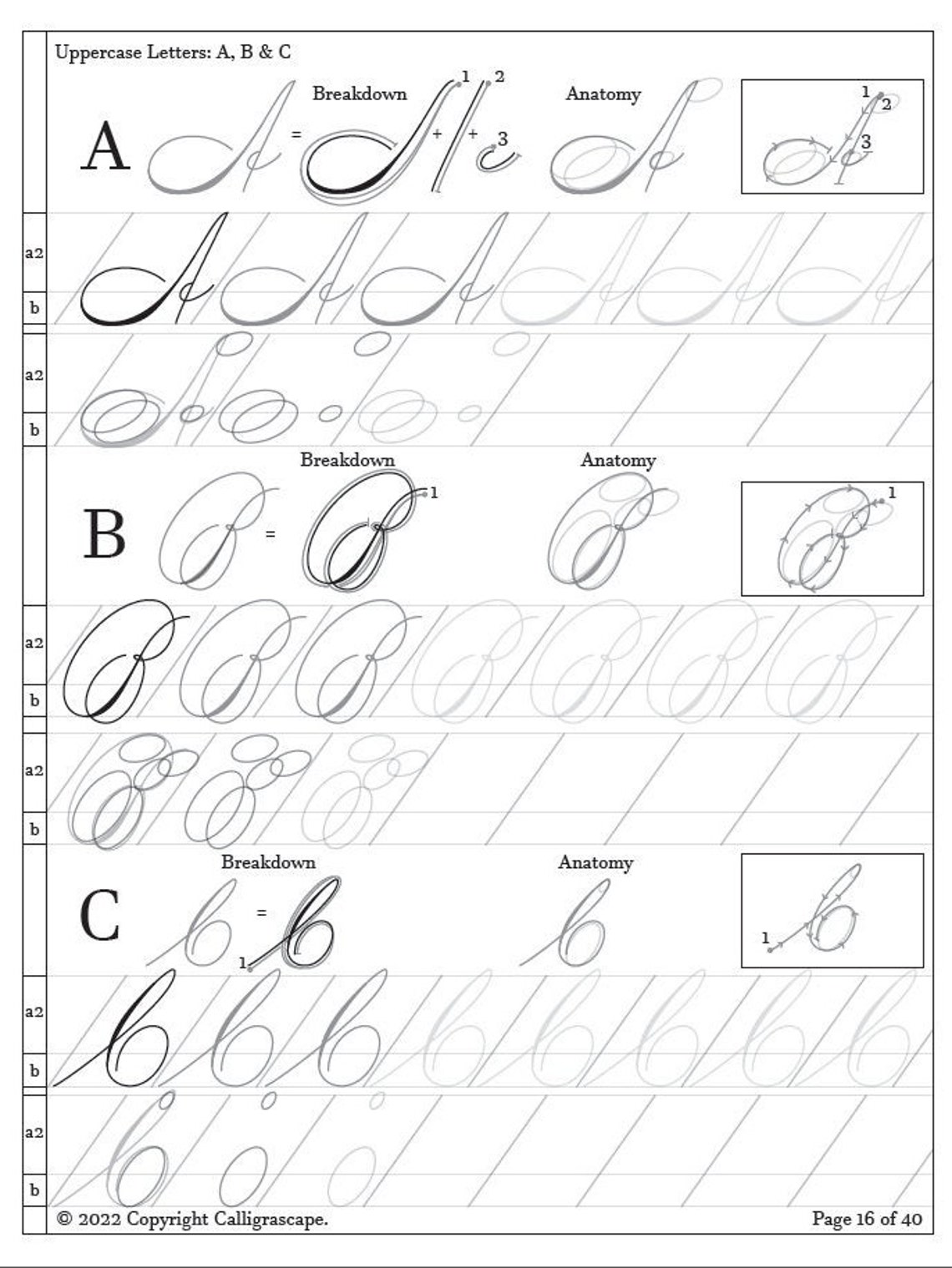Master Class Spencerian Practice Sheets: From Basic Strokes to - Etsy