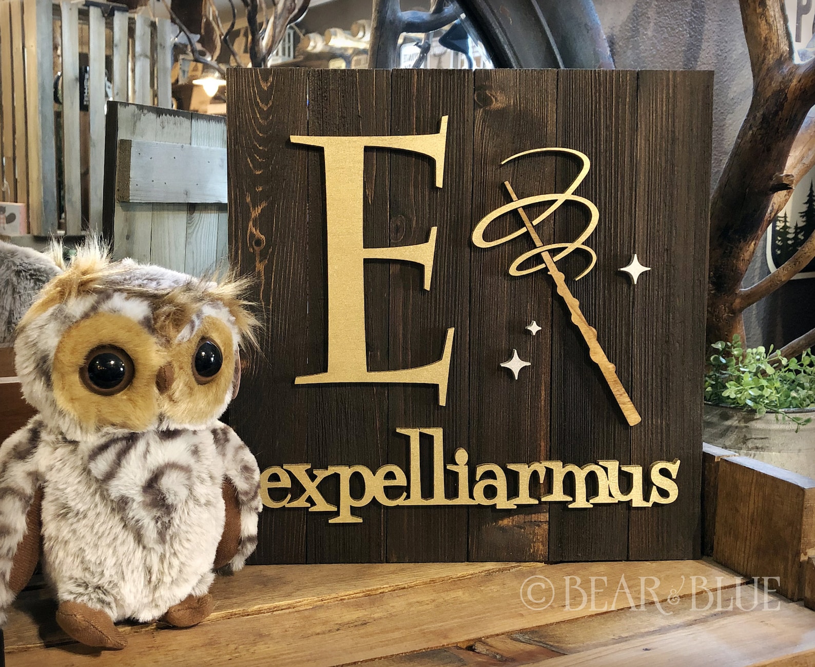 Wizard Decor Lots of Options Alphabet Signs on Rustic Wood | Etsy