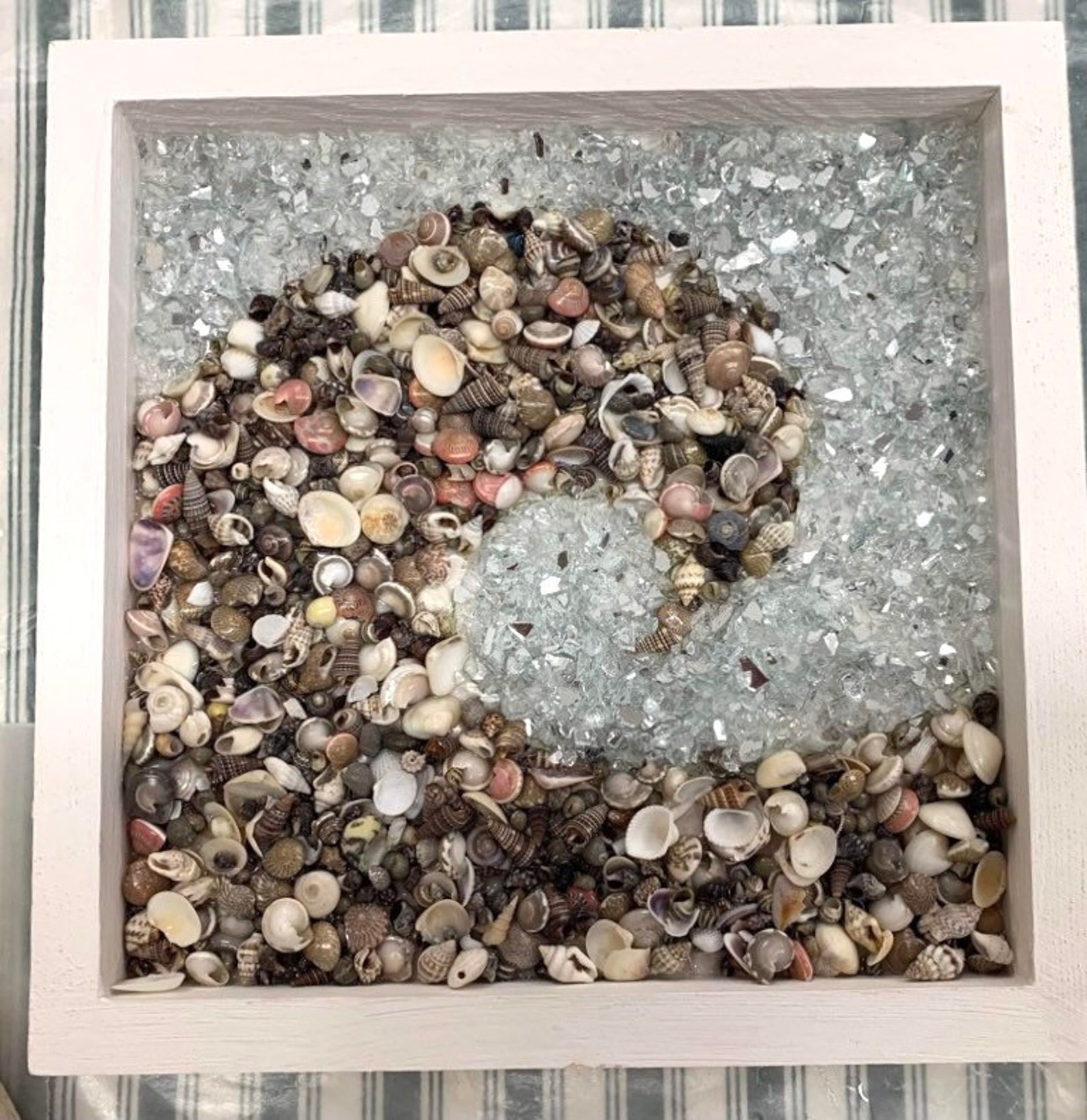 Seashells Shells Mix Variety Wave Beach Local Art Gift House Wall OBX ...