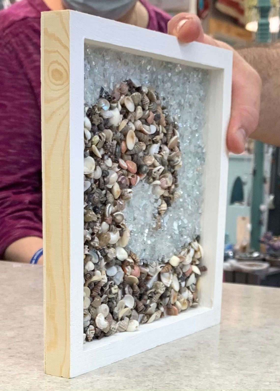 Seashells Shells Mix Variety Wave Beach Local Art Gift House - Etsy