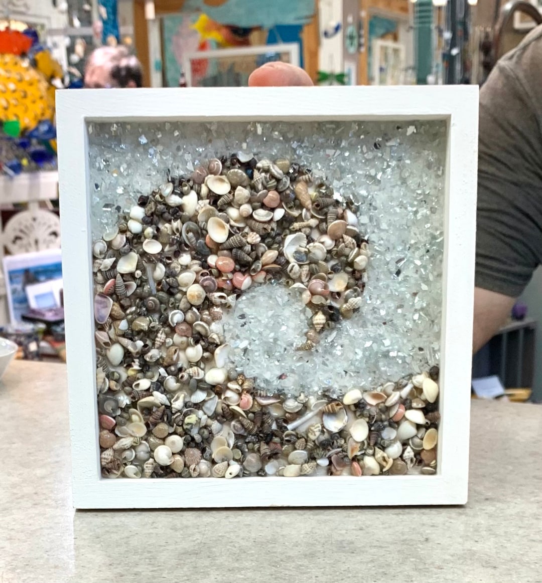 Seashells Shells Mix Variety Wave Beach Local Art Gift House Wall OBX ...
