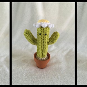 Dress-me-up Saguaro Cactus PDF Pattern, Crochet Pattern, Amigurumi ...