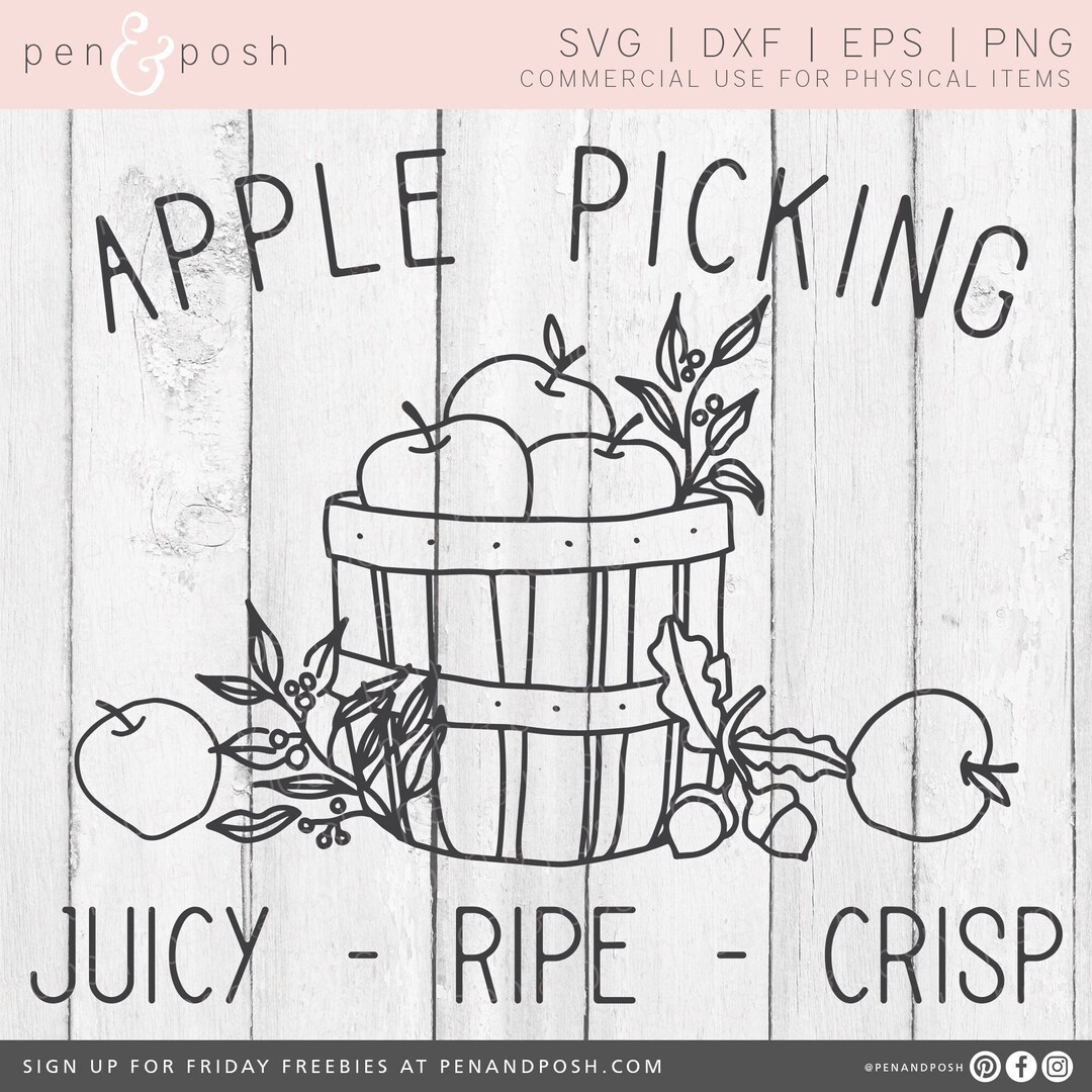 Apple Picking SVG Fall Apple SVG Apple Picking Cut File Apple Vector ...