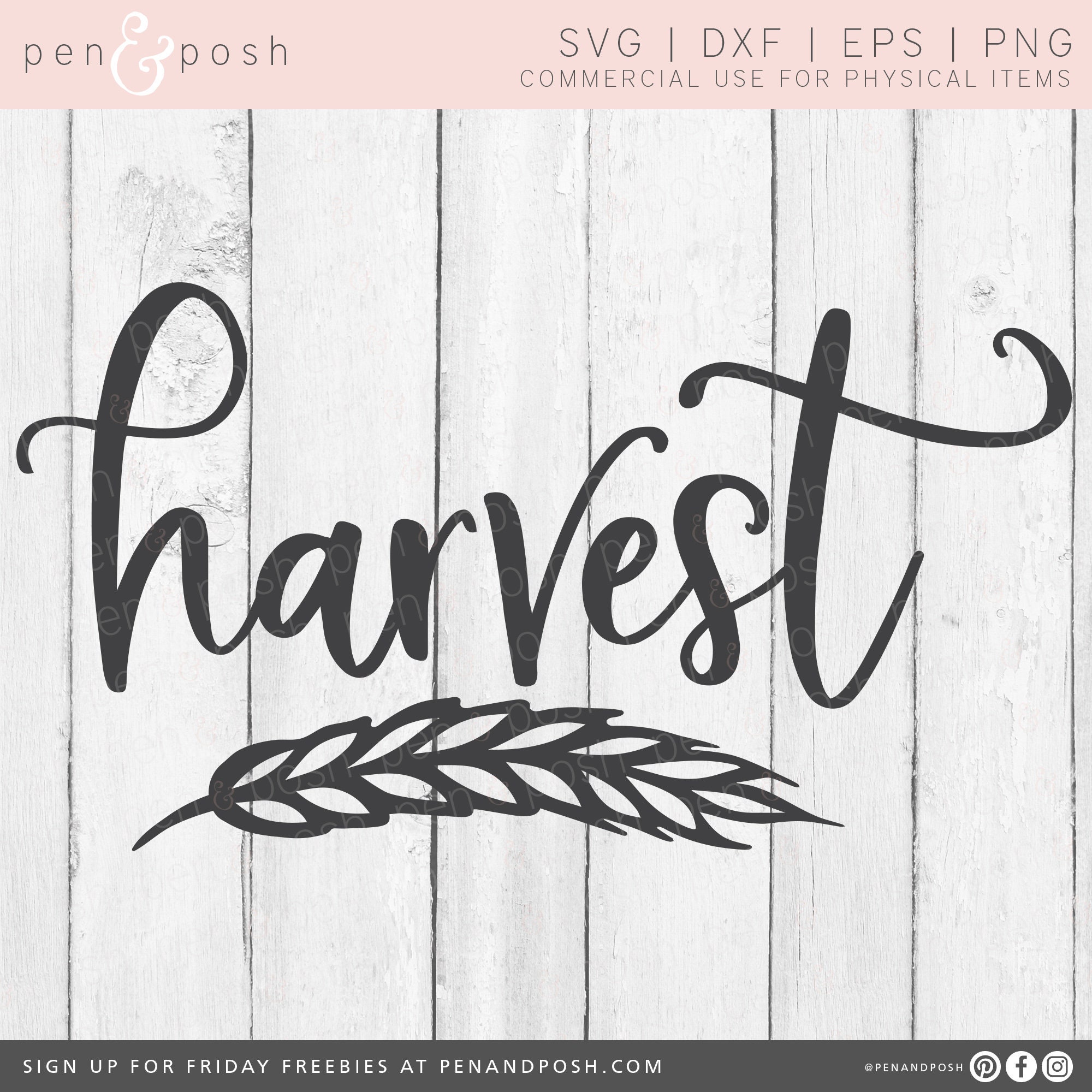 Fall Svg Thanksgiving Svg Harvest Svg Autumn Svg Svg | Etsy