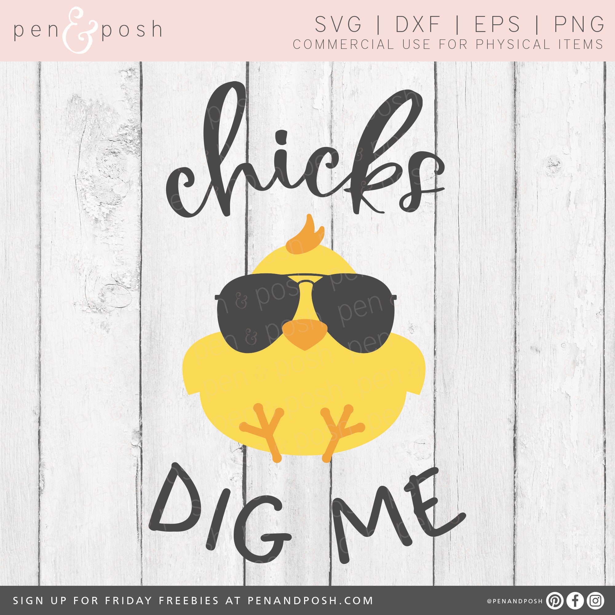 Chicks Dig Me Svg Easter Svg Chicks Dig Me Chick Svg | Etsy