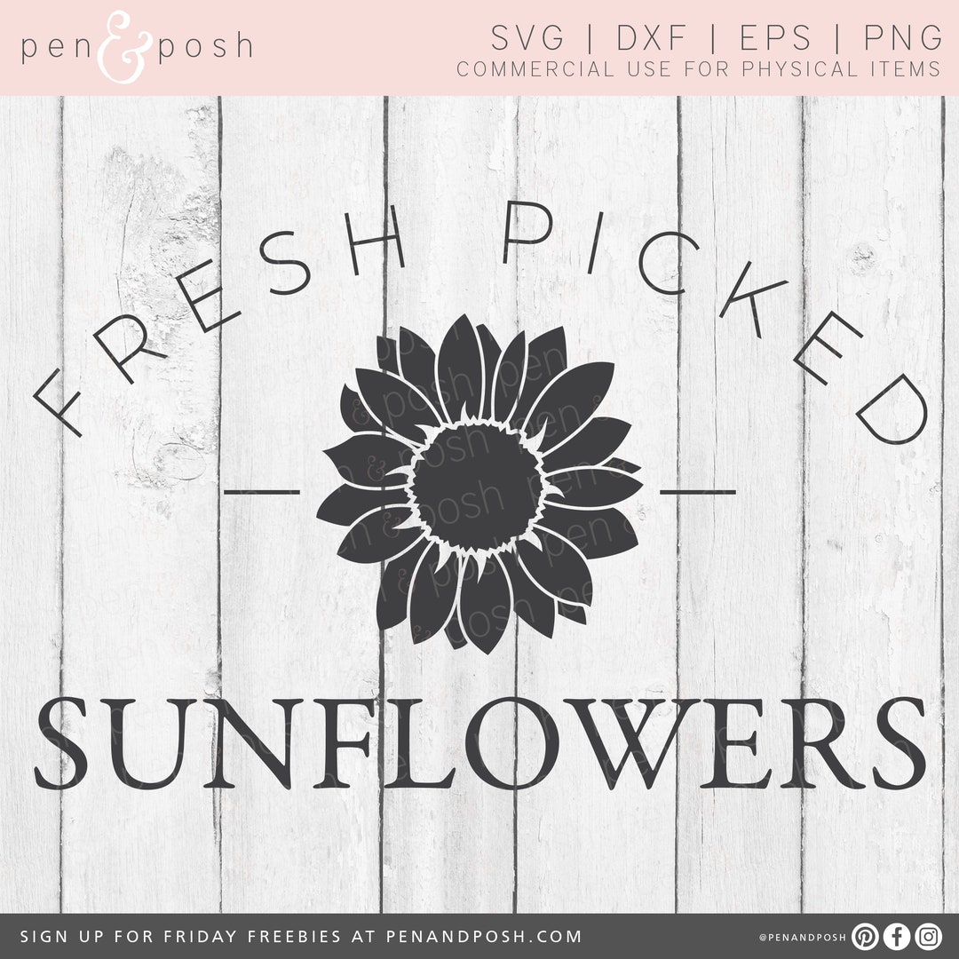 Fresh Sunflowers Sign File Sunflower SVG Flower SVG Fresh Sunflower SVG ...