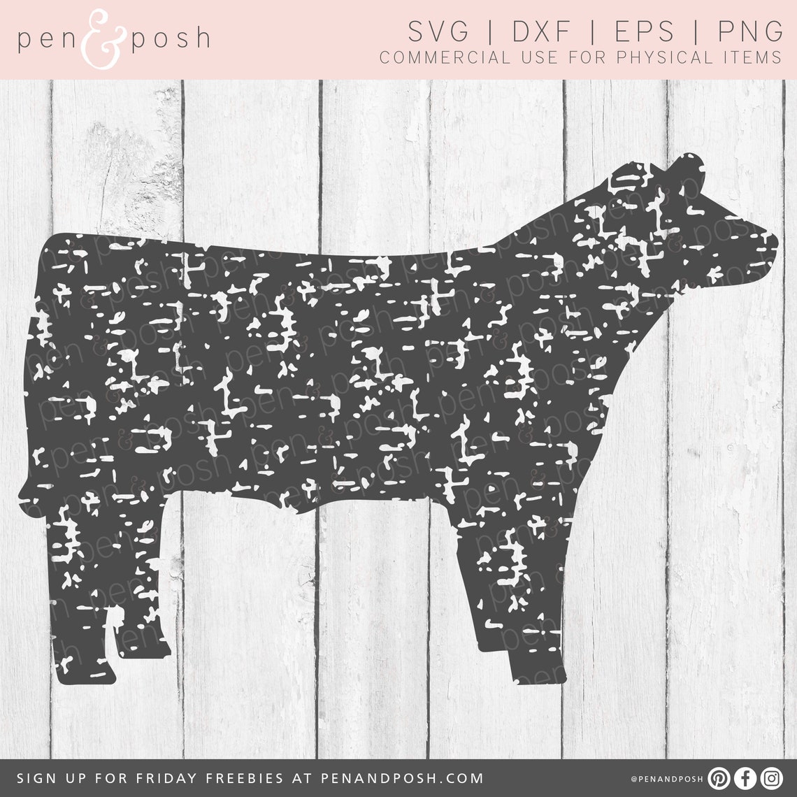 Steer Svg Cow Svg Cattle Svg Distressed Cow Svg Steer | Etsy