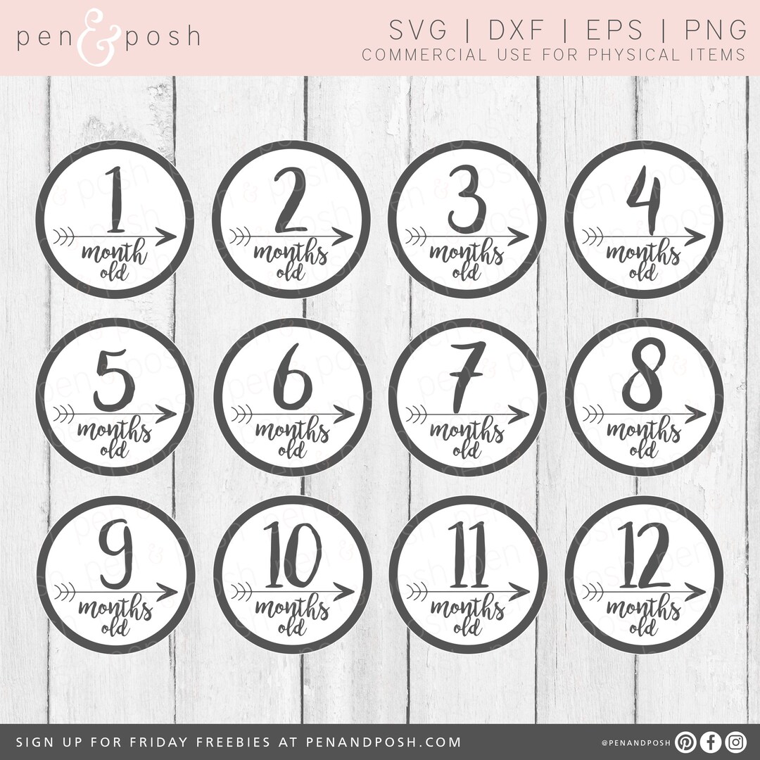 Baby Month Stickers SVG Monthly Stickers SVG Monthly - Etsy