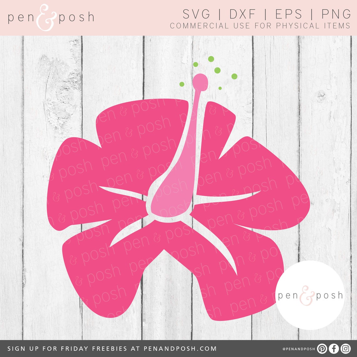 Tropical Flowers SVG - Flowers SVG - Summer SVG - Spring Svg - Beach ...