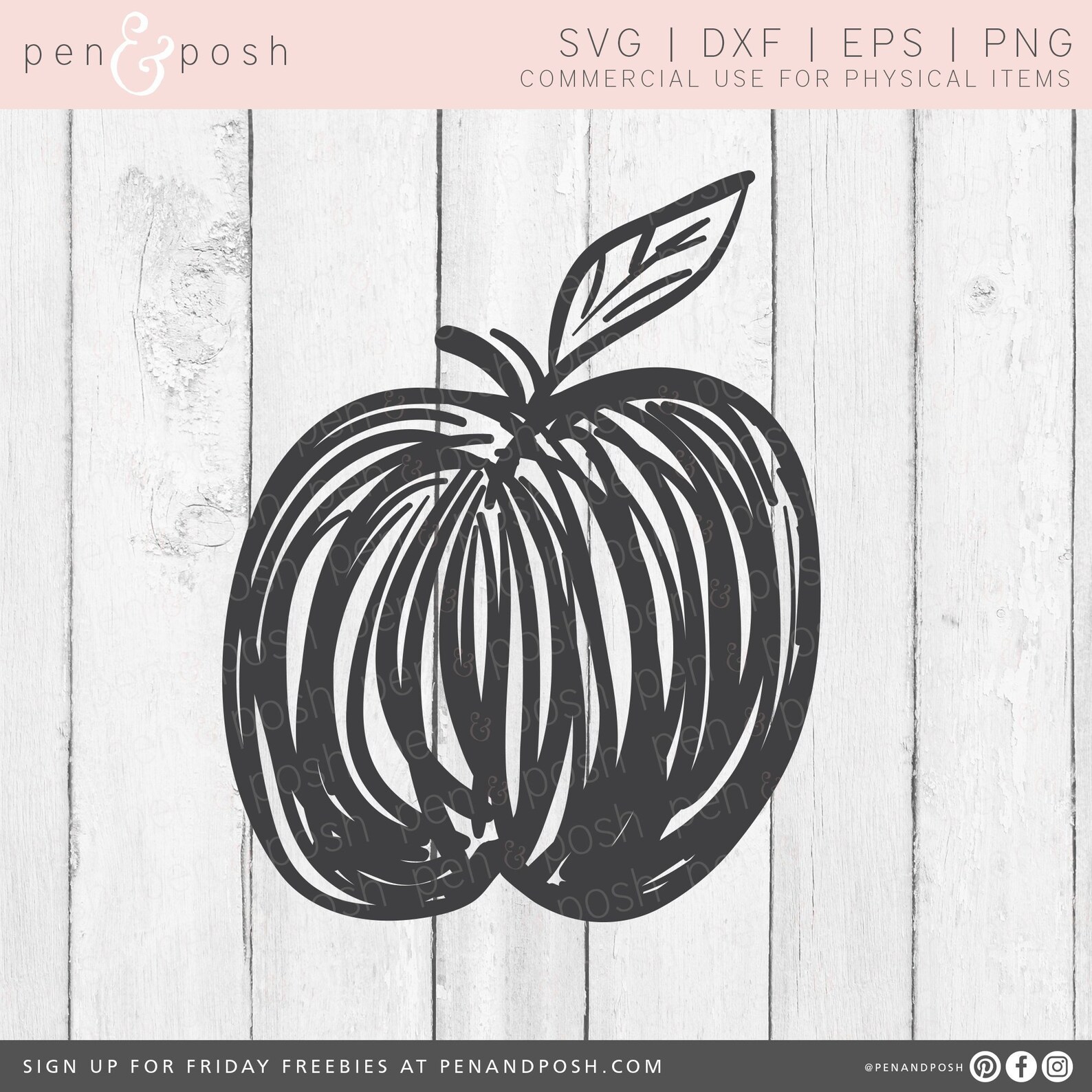 Handdrawn Apple SVG Back to School SVG Teacher SVG | Etsy