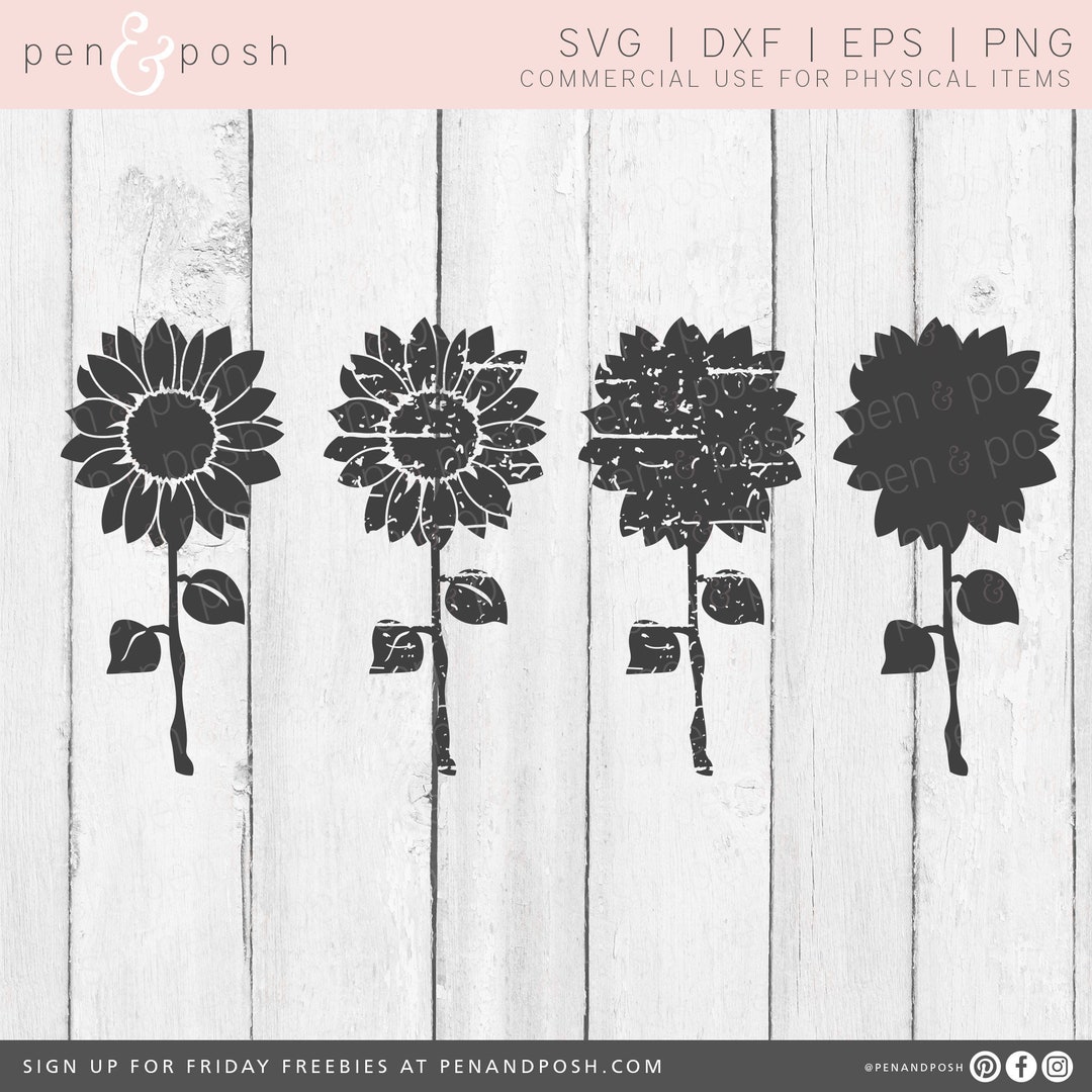 Grunge Sunflower SVG - Grunge Flower SVG - Sunflower SVG - Flower Svg ...