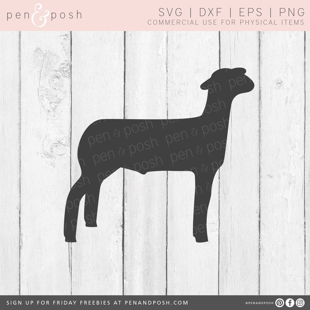 Show Lamb SVG Show Sheep SVG Lamb Clipart Market Lamb Market Lamb SVG ...