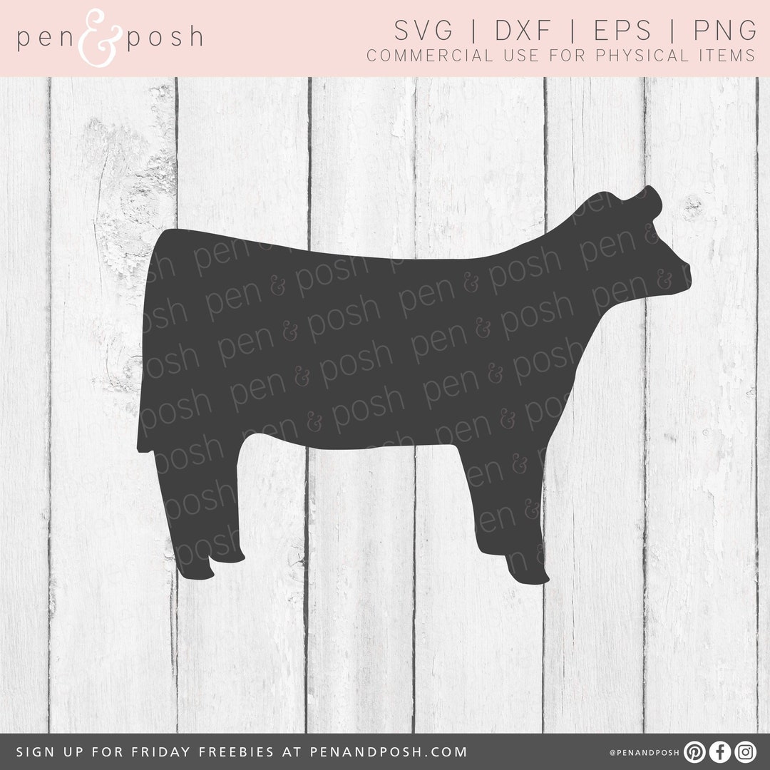 Show Heifer SVG Show Cattle SVG Cow SVG Heifer Clipart Cow Art Heifer ...