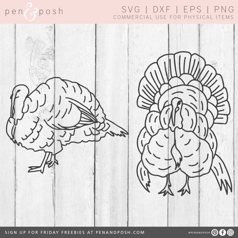 Turkey SVG Turkey Clip Art Turkey SVG File Turkey Cut | Etsy