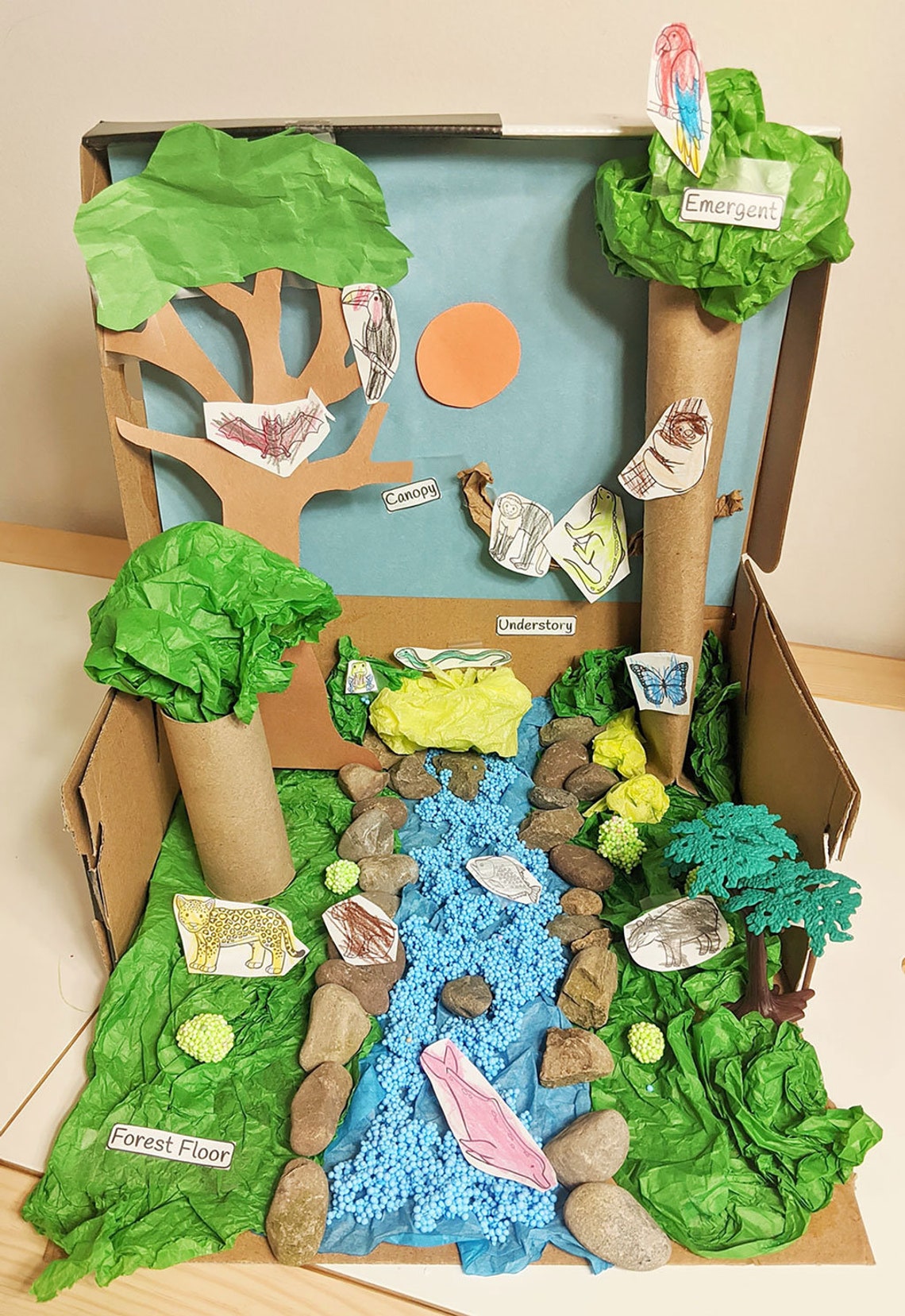 Rainforest Diorama & Resources - Educational, Jungle, Ecosystem ...