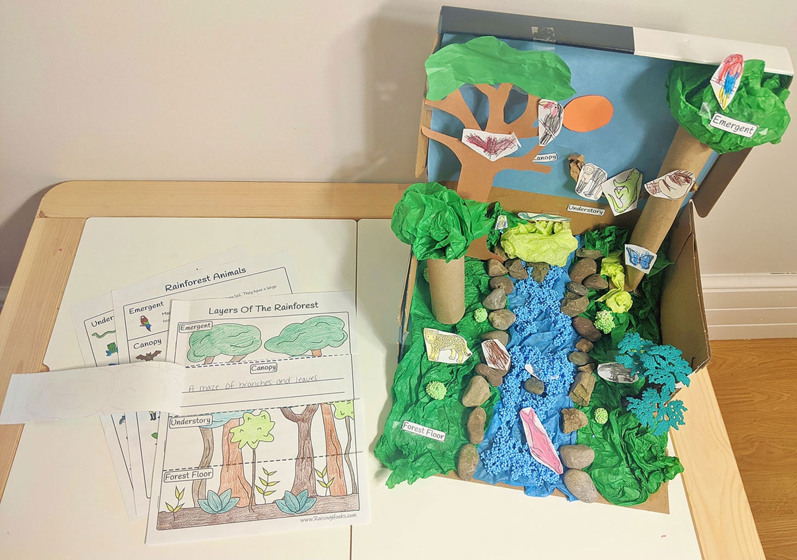 Rainforest Diorama & Resources - Educational, Jungle, Ecosystem ...