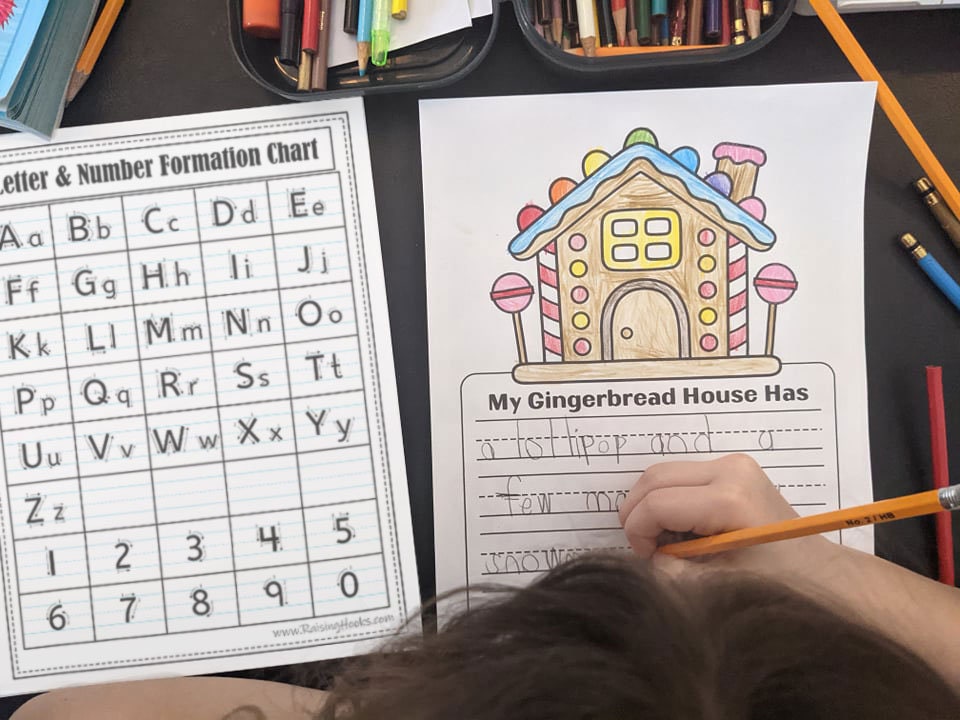 Alphabet Letter Formation Reference Chart Poster Beginner Writers ...