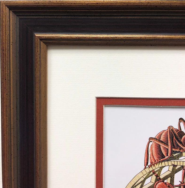 M.c.escher mobius Strip Ii red Ants 1963 FRAMED - Etsy