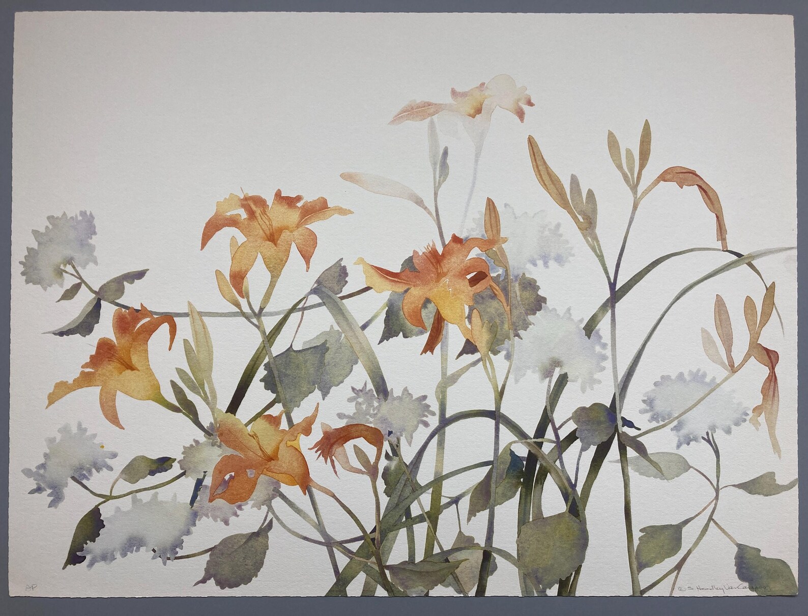Susan Headley Van Campen "lilies and Hydrangea" Hand Signed Limited ...