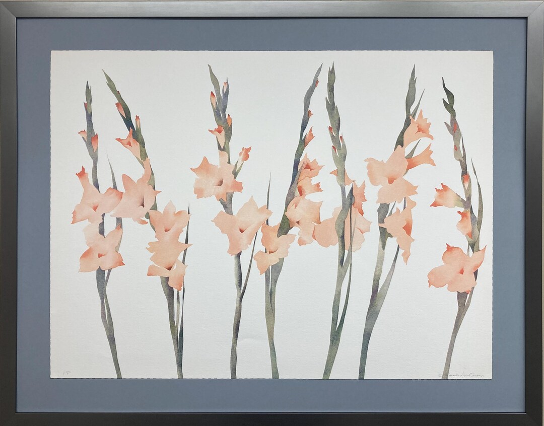 Susan Headley Van Campen "gladiolus" Hand Signed Lim. Ed. New Framed ...