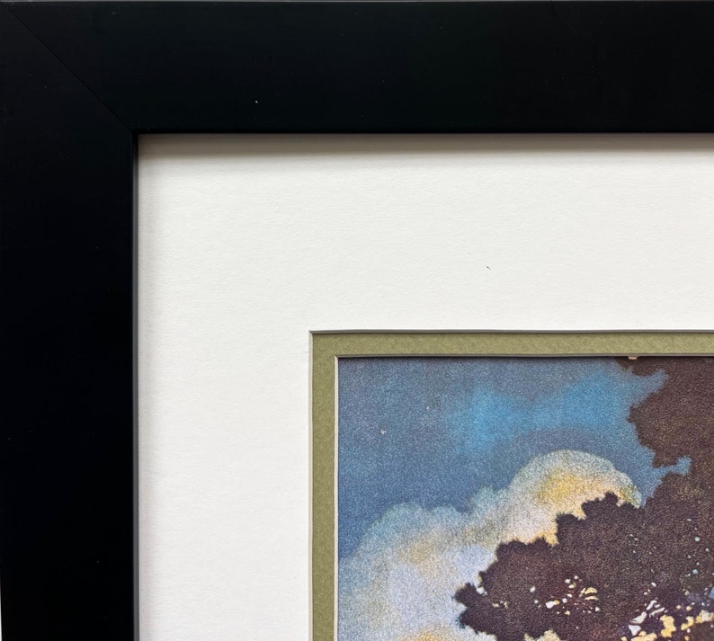 Maxfield Parrish "dinky Bird" Newly Custom Framed Time Magazine Cover ...