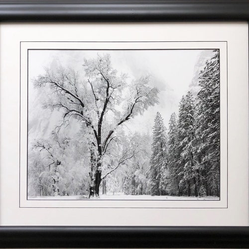 Ansel Adams oak Tree Snowstorm Custom Framed NEW - Etsy