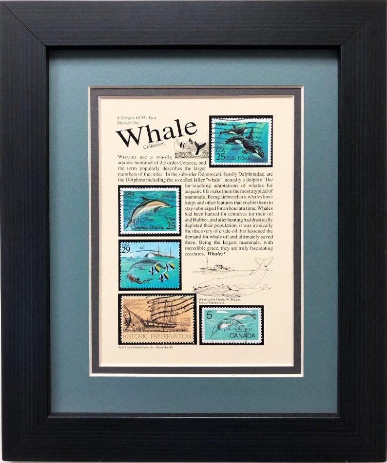 Stamps "whales" Framed Stamp Art - Etsy