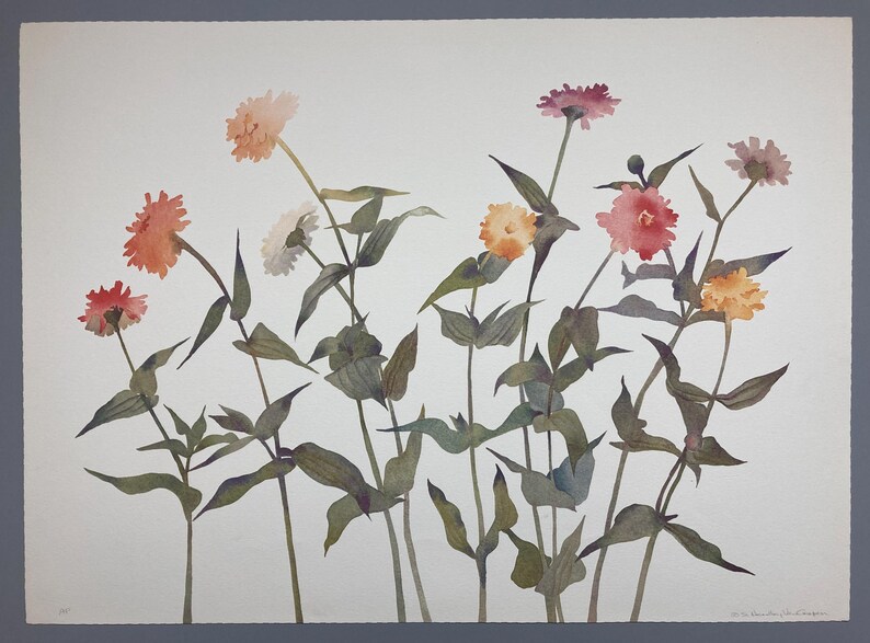 Susan Headley Van Campen "zinnias" Hand Signed Lim. Ed. New Framed ...