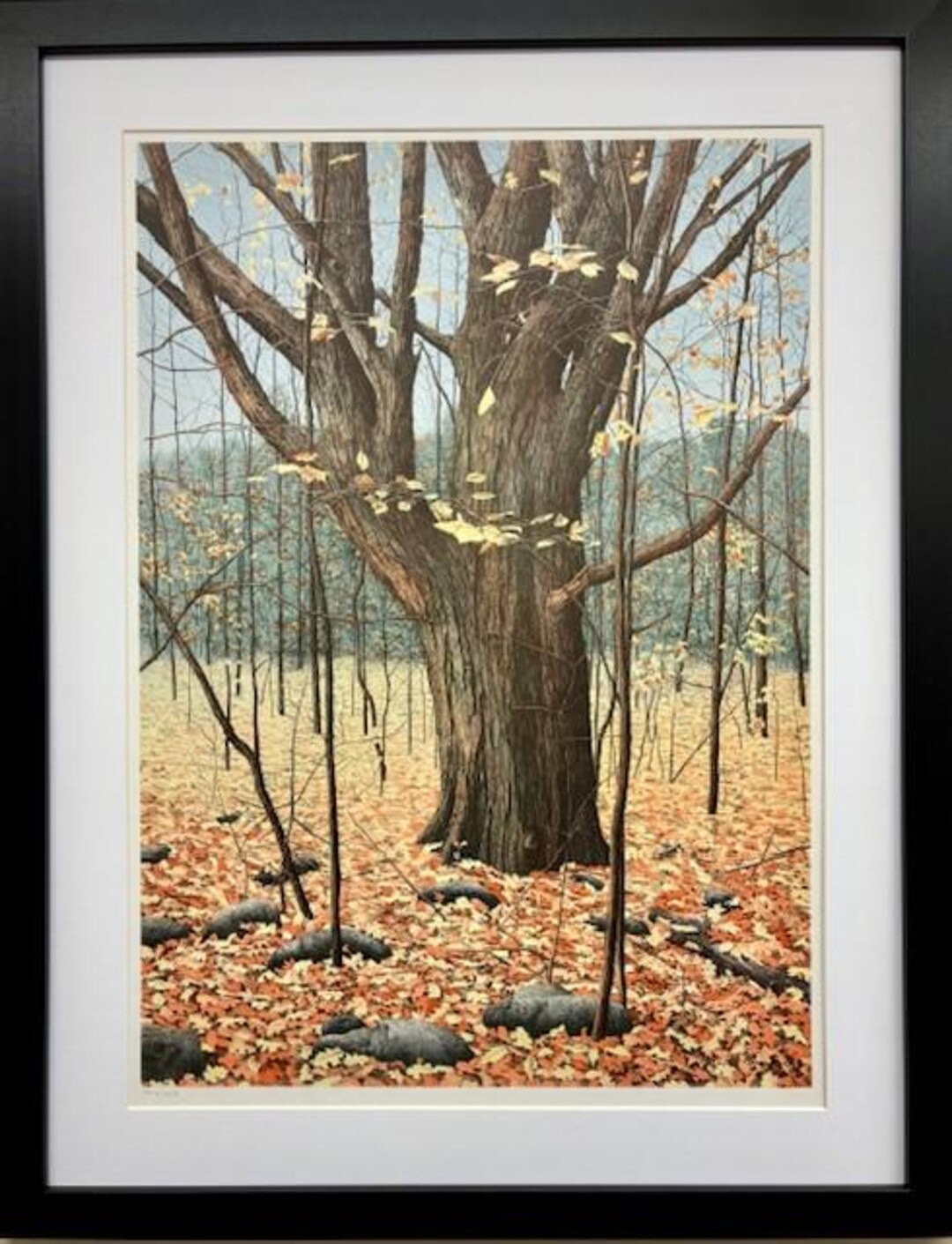 Helen Rundell "old Oak" FRAMED Limited Edition Nature Art Landscape NEW ...