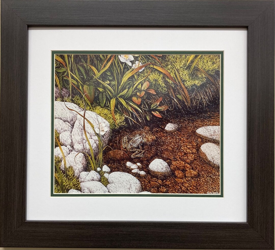 Bev Doolittle "small World" Newly FRAMED American Art Artist Frog - Etsy