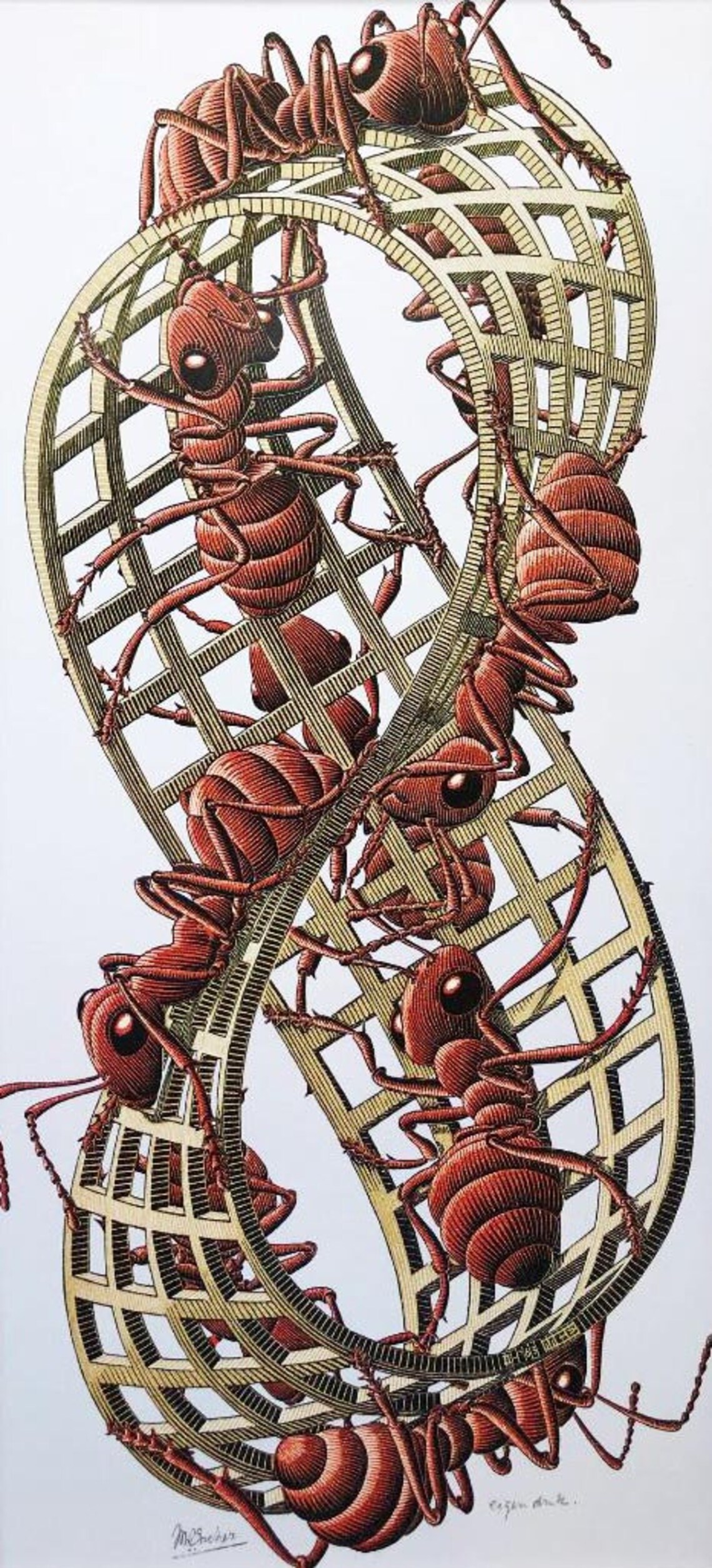 M.c.escher "mobius Strip Ii" (red Ants) 1963 FRAMED Art - Etsy
