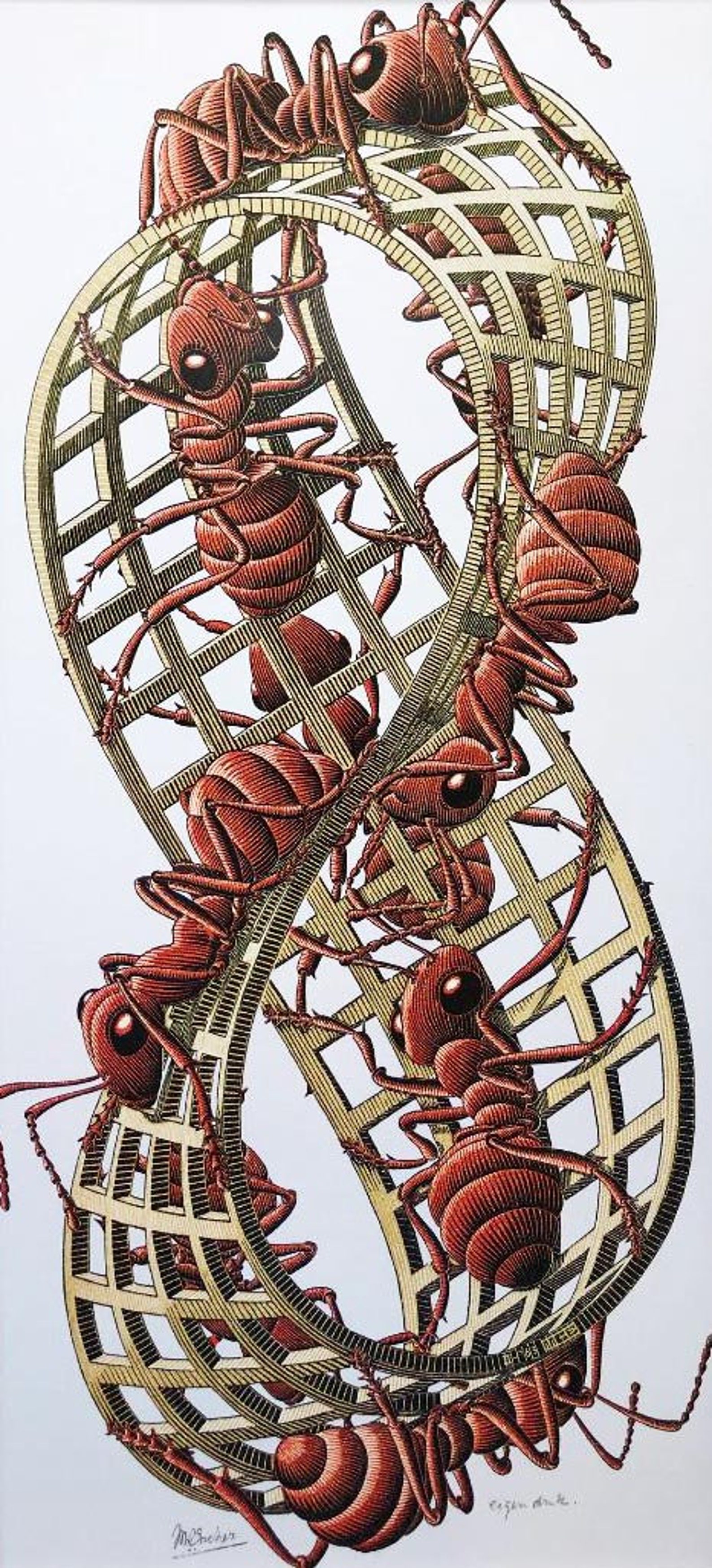M.c.escher 