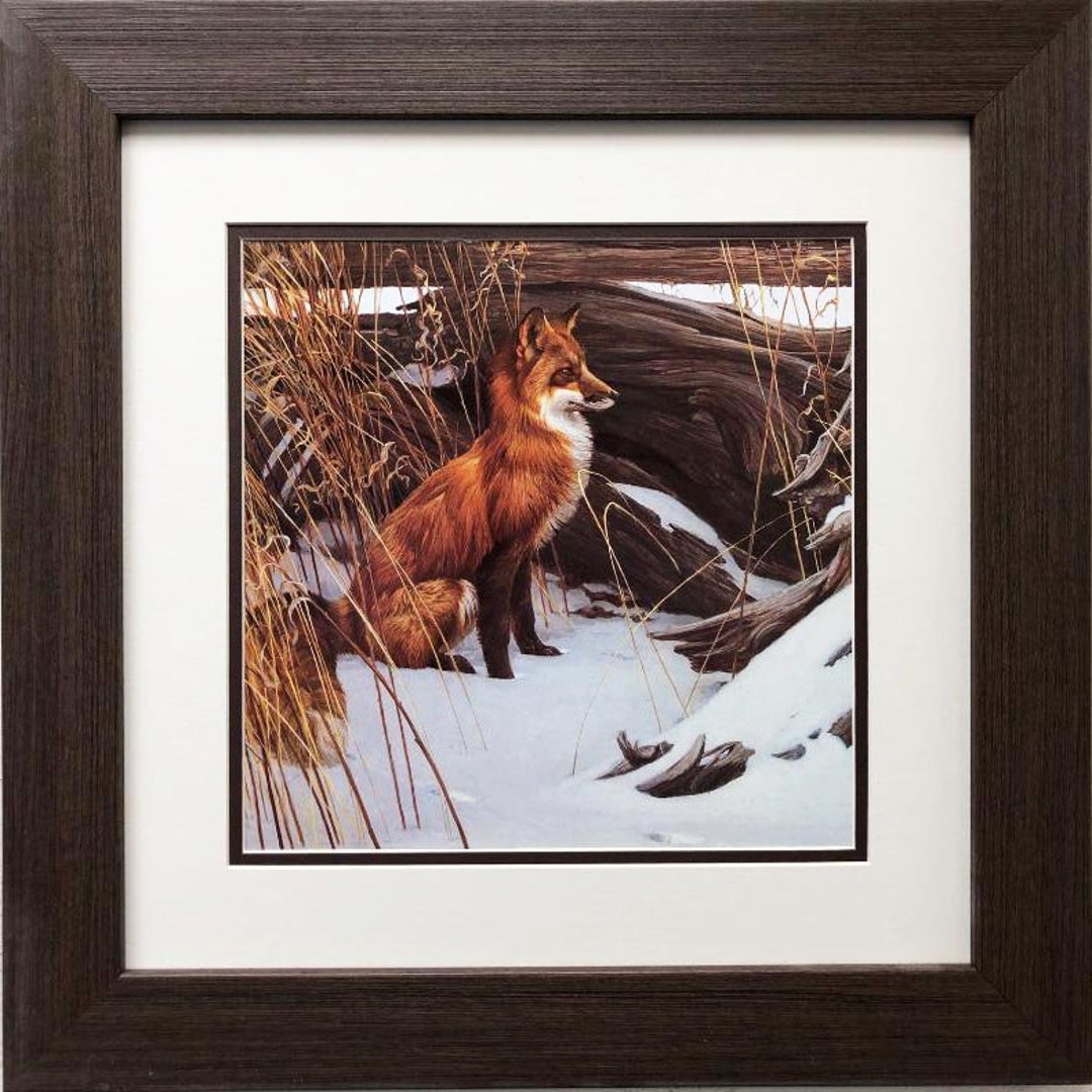 Robert Bateman "wily and Wary- Red Fox" CUSTOM FRAMED Art - Etsy