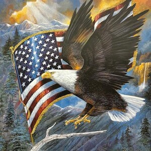 Ruane Manning "america's Pride" FRAMED Wildlife Art Eagle Soaring USA ...