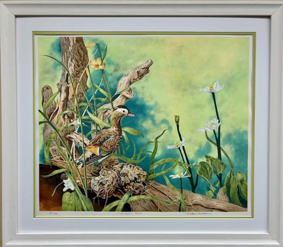 Michael Budden "mandarin Duck" Hand Signed Limited Edition Bird Wildlife Art NEW - Etsy